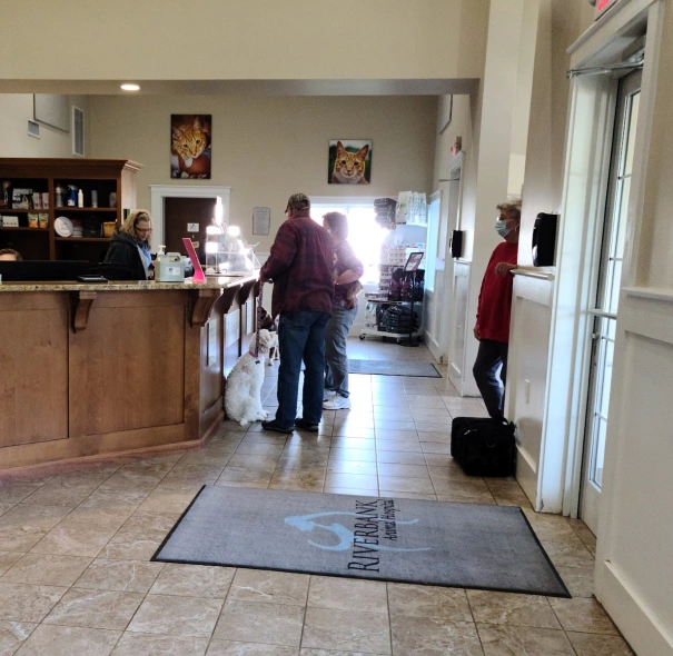 Payment Options | Riverbank Animal Hospital